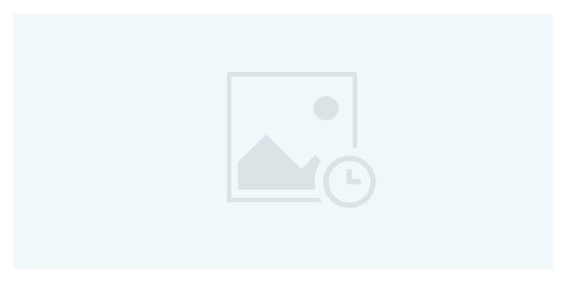 Social Responsibility